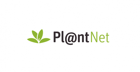 PlantNet - Recerca en Acció